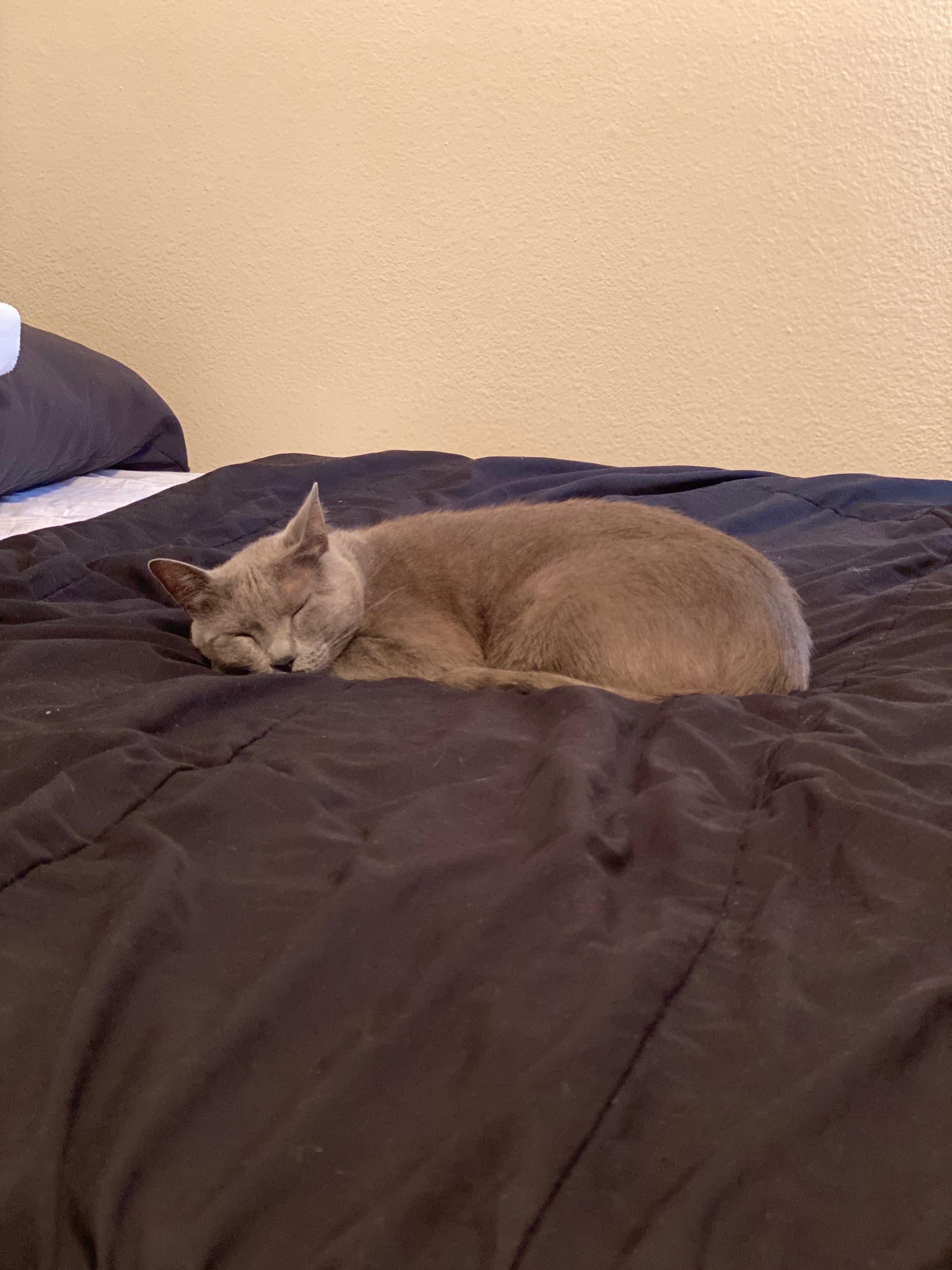 VEX Visual Studio Code Extension - #28 by Trevor9181N - VEX News - VEX ...